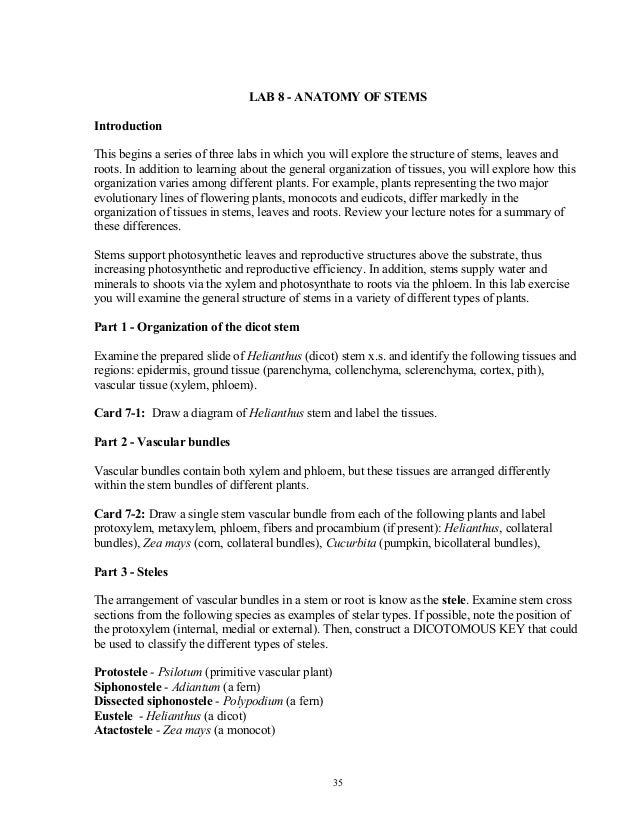 Leaf Anatomy Worksheet Colored Answer Key leaf-anatomy-worksheet-colored-answer-key