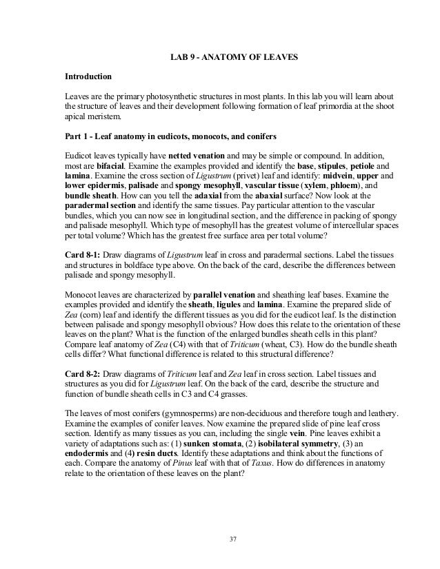 How To Structure A Lab Report How To Write A Lab Report A Comprehensive Guide 2019 01 30 How To Structure A Lab Report How To Write A Lab Report A Comprehensive Guide 2019 01 30