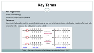 Disorders Associated with Fatty Acid Catabolism | PPT