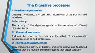 Digestive system | PPT