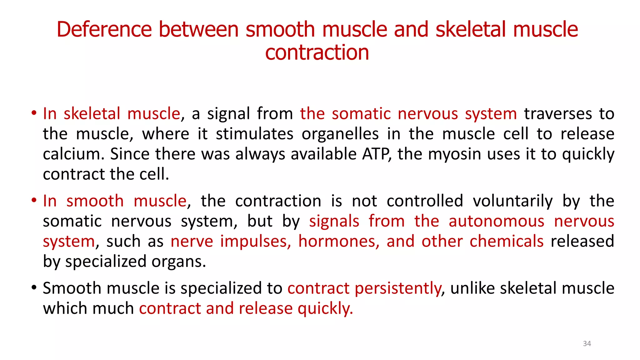 Muscular system | PPTX