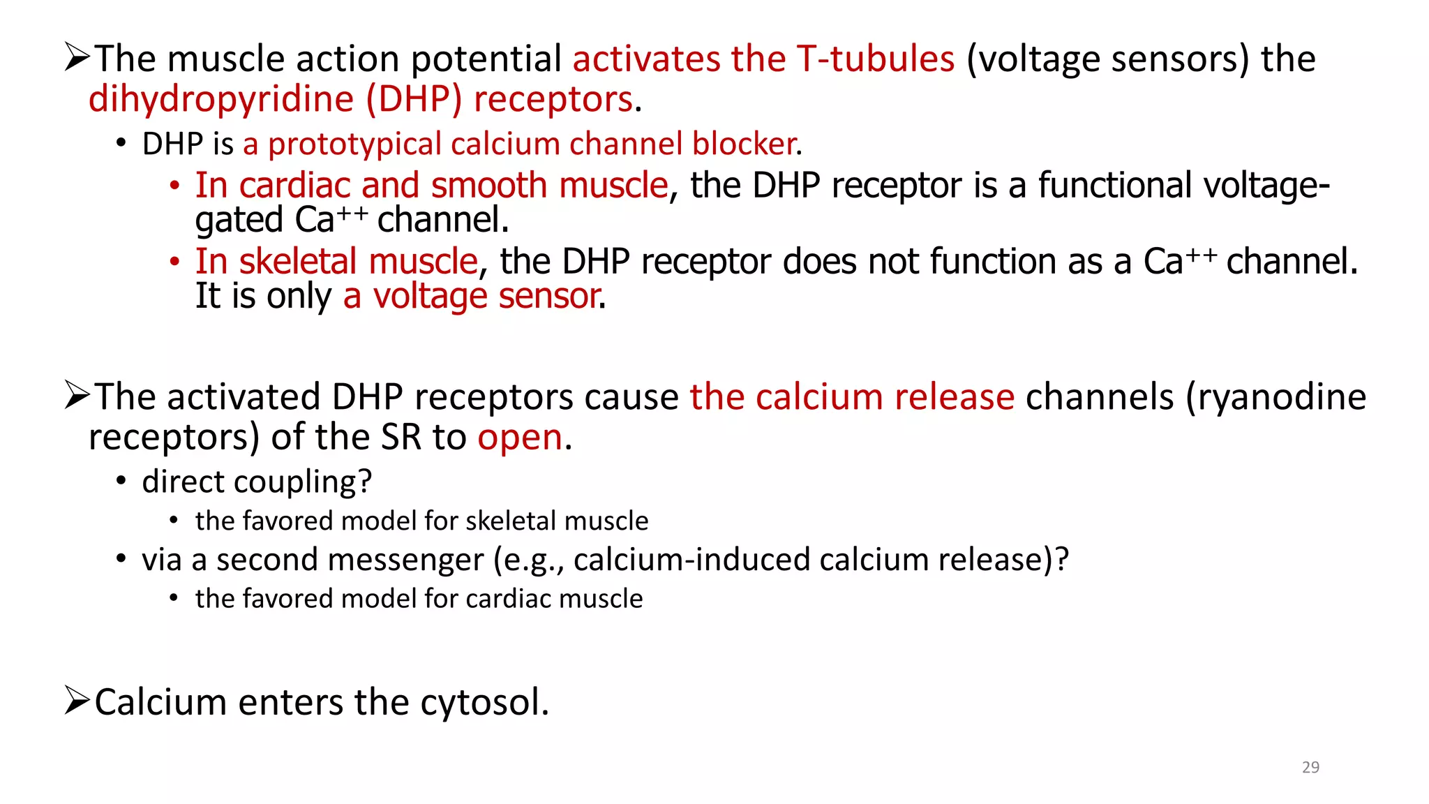 Muscular system | PPTX