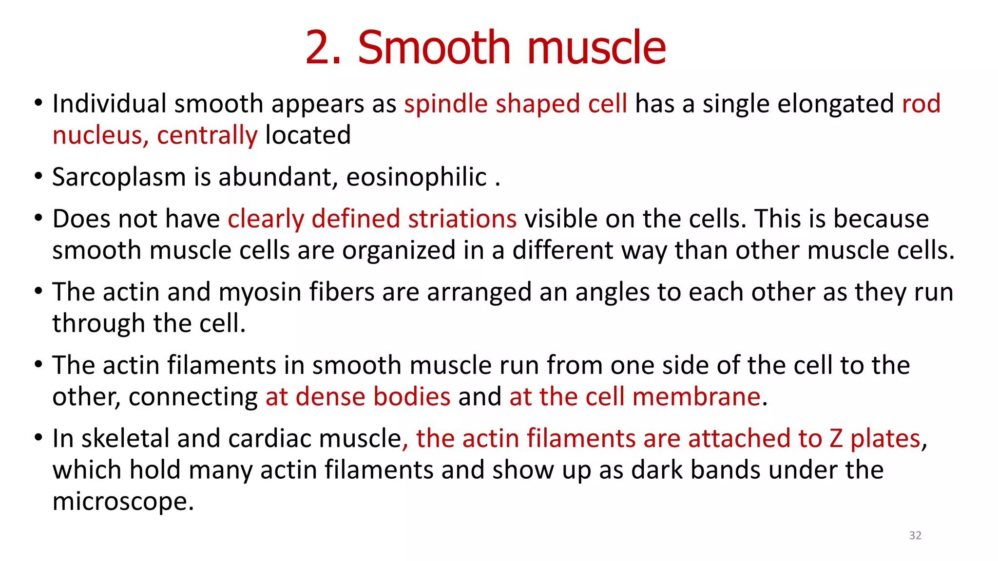 Muscular system | PPTX