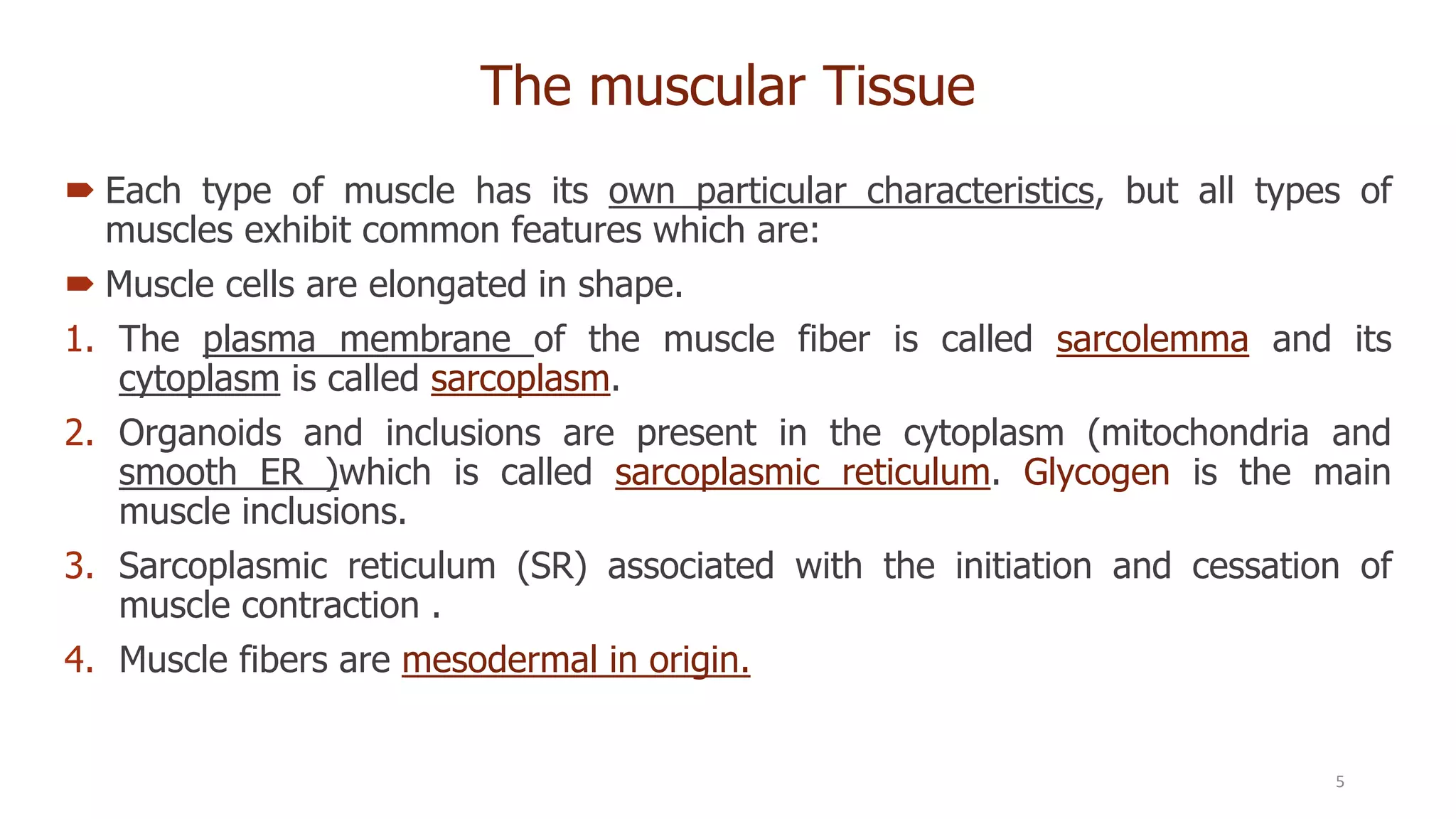Muscular system | PPTX