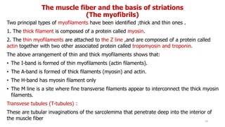 Muscular system | PPT