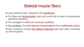 Muscular system | PPT