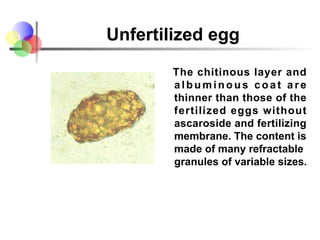 Geohelminths.pdf