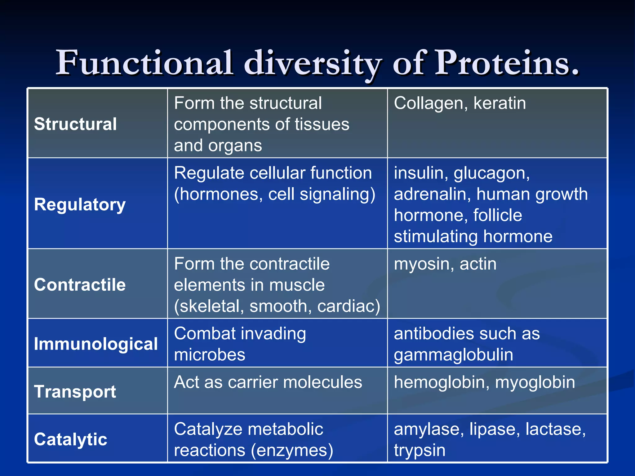 Protein Synthesis | PPT
