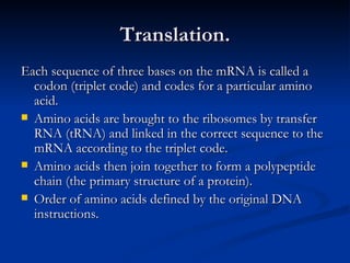 Protein Synthesis | PPT