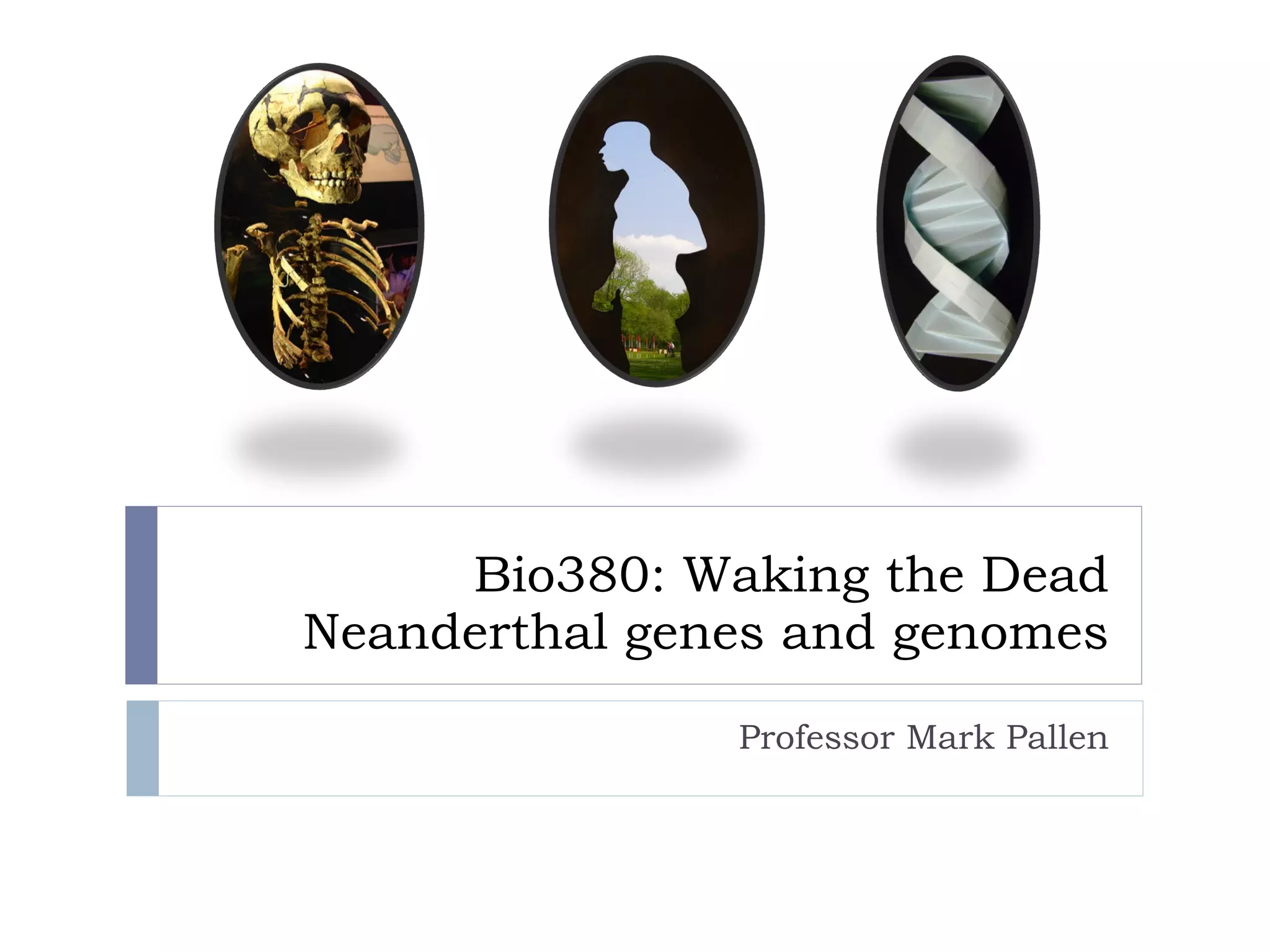 Bio380 Human Evolution: Waking the dead | PPT