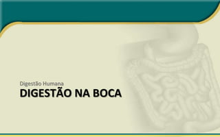 Digestão Humana | PPSX