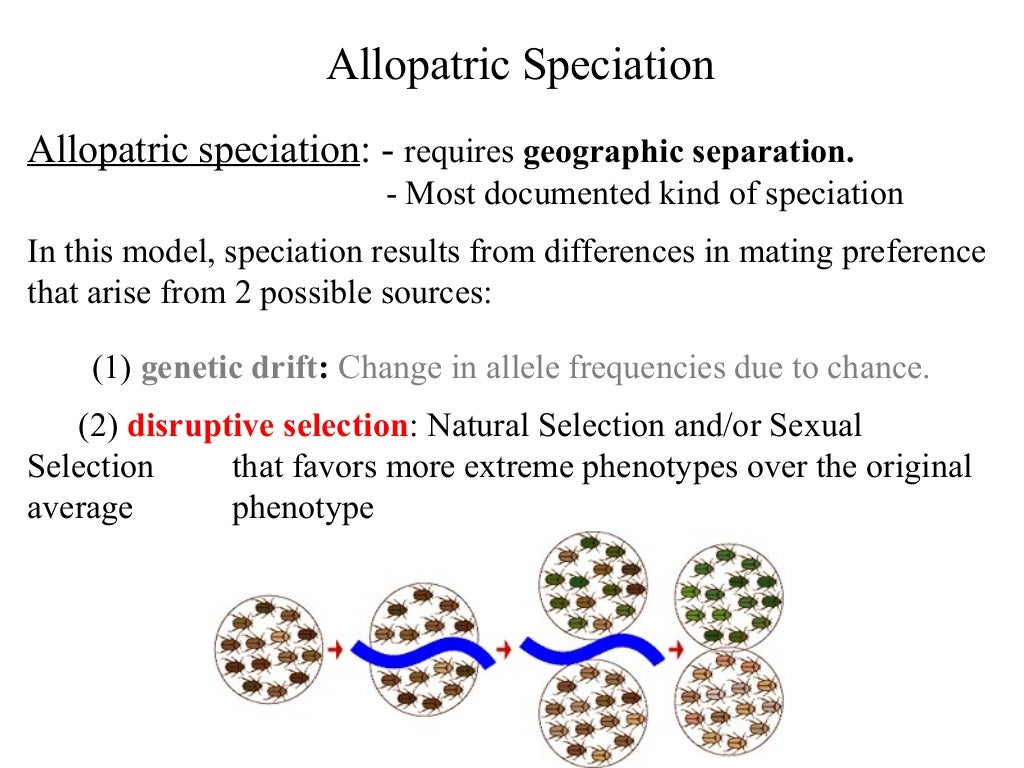 Bio413 07 sympatric_speciation_species concepts_allopatric_speciation…