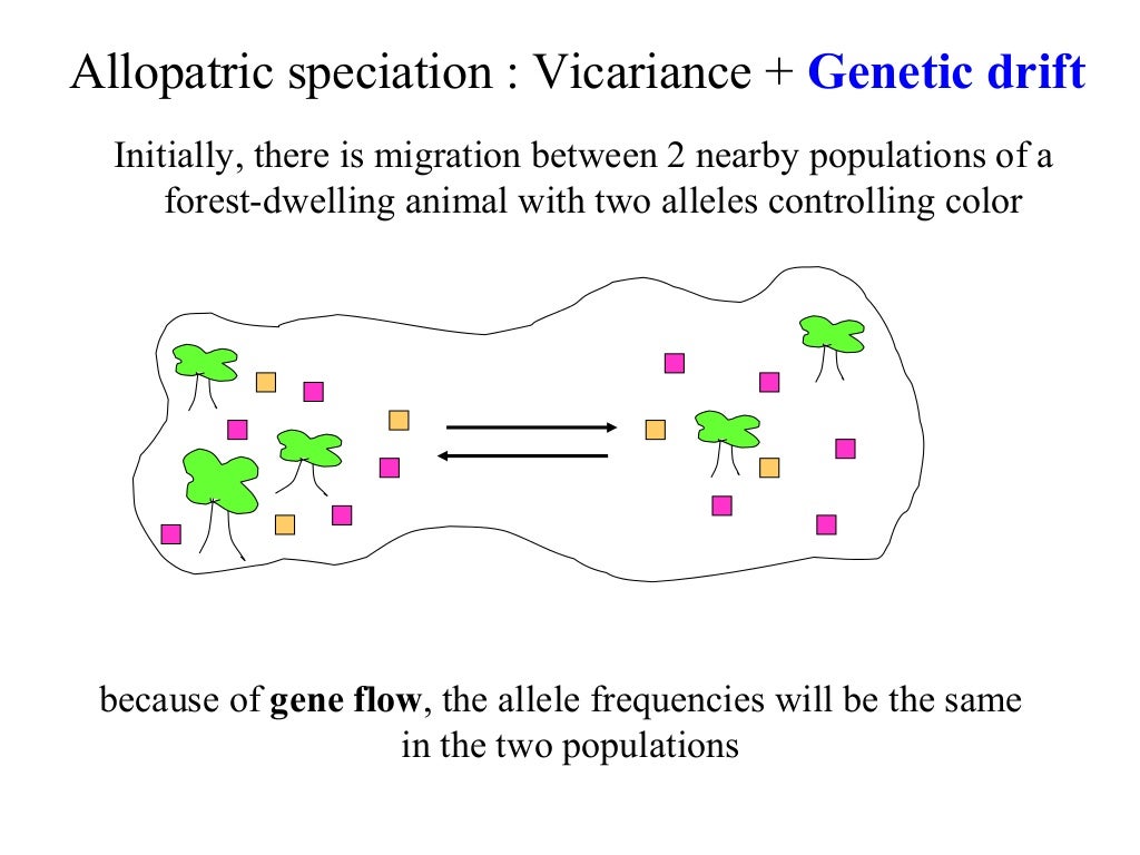 Bio413 07 sympatric_speciation_species concepts_allopatric_speciation…