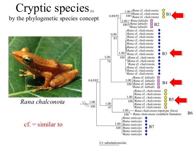 Bio413 07 sympatric_speciation_species concepts_allopatric_speciation…