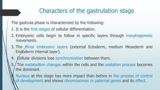 Gastrulation | PPT