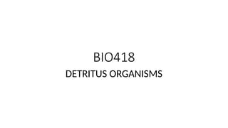 DETRITUS ORGANISMS- ORGANISMS THAT ACT ON DETRITUS | PPTX