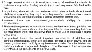 DETRITUS ORGANISMS- ORGANISMS THAT ACT ON DETRITUS | PPTX