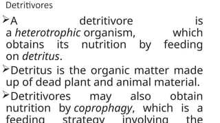 DETRITUS ORGANISMS- ORGANISMS THAT ACT ON DETRITUS | PPTX