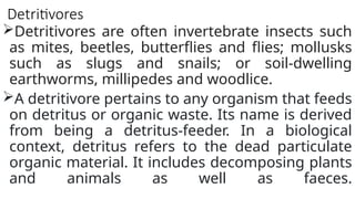 DETRITUS ORGANISMS- ORGANISMS THAT ACT ON DETRITUS | PPTX