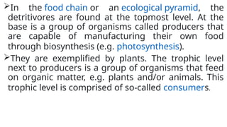 DETRITUS ORGANISMS- ORGANISMS THAT ACT ON DETRITUS | PPTX