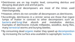 DETRITUS ORGANISMS- ORGANISMS THAT ACT ON DETRITUS | PPTX