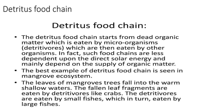 DETRITUS ORGANISMS- ORGANISMS THAT ACT ON DETRITUS | PPTX