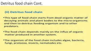 DETRITUS ORGANISMS- ORGANISMS THAT ACT ON DETRITUS | PPTX