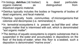 DETRITUS ORGANISMS- ORGANISMS THAT ACT ON DETRITUS | PPT