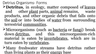 DETRITUS ORGANISMS- ORGANISMS THAT ACT ON DETRITUS | PPTX