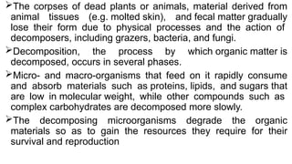 DETRITUS ORGANISMS- ORGANISMS THAT ACT ON DETRITUS | PPTX