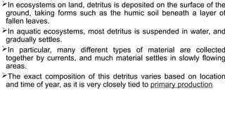 DETRITUS ORGANISMS- ORGANISMS THAT ACT ON DETRITUS | PPTX