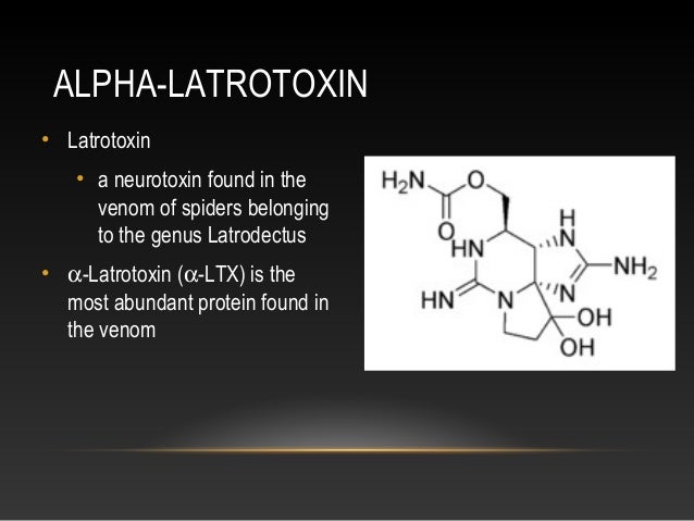 Bio 445 final presentation