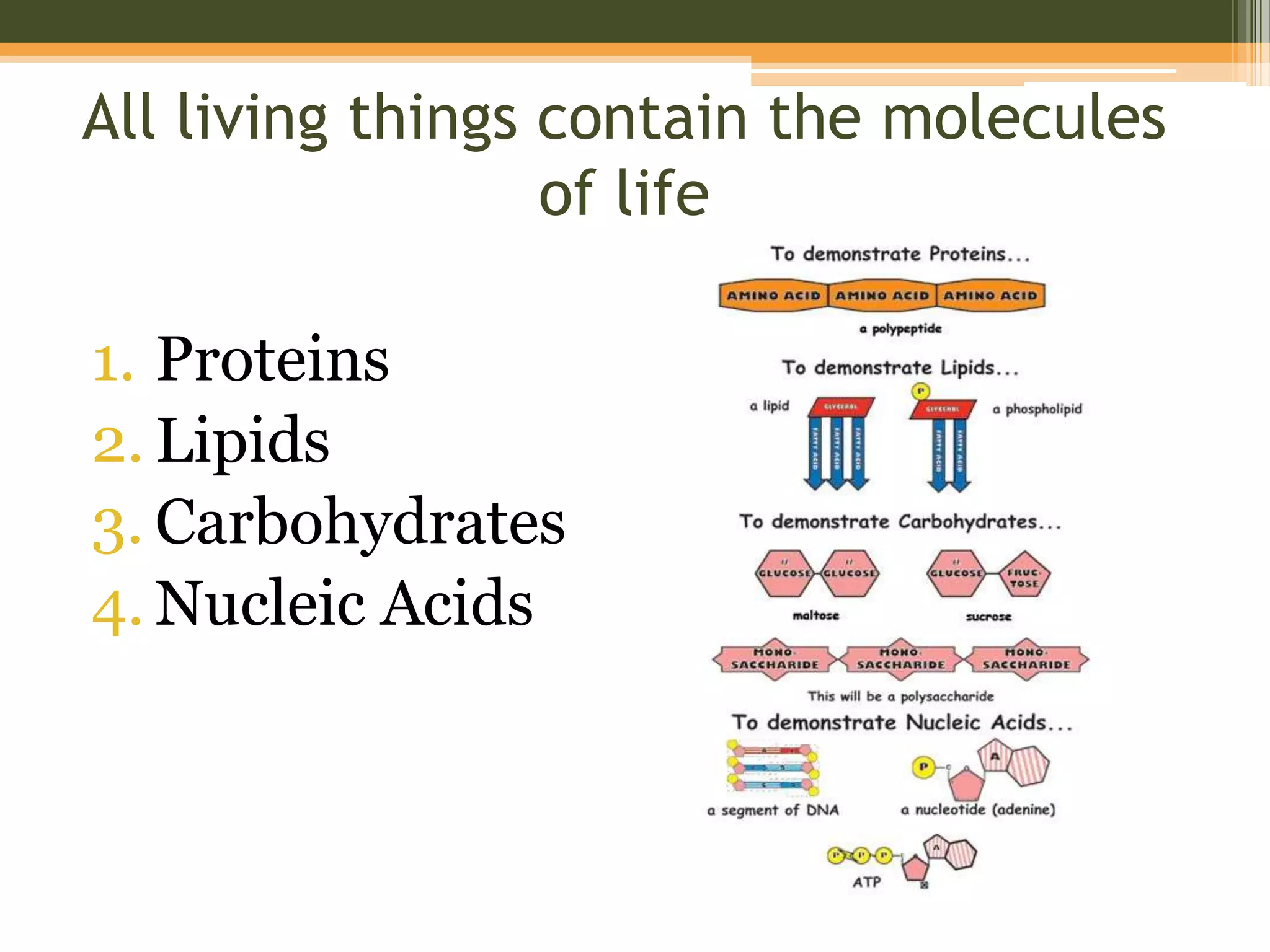 Bio 502 biology 101 lesson 1 what is life? | PPTX
