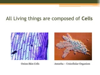 Bio 502 biology 101 lesson 1 what is life? | PPTX