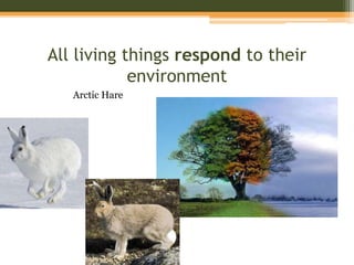 Bio 502 biology 101 lesson 1 what is life? | PPTX