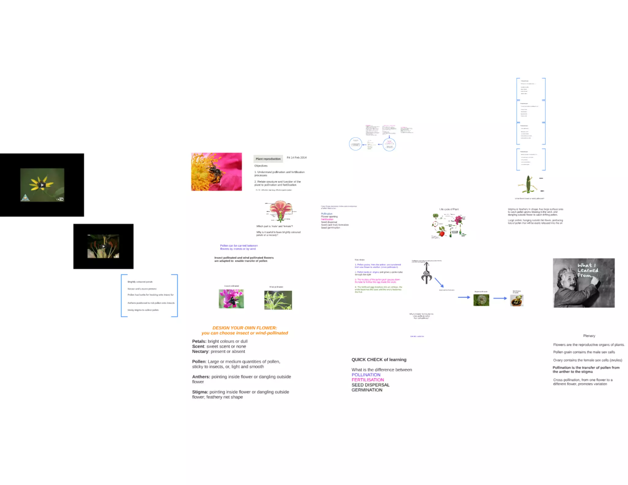 Key Stage 3 Plant reproduction | PDF