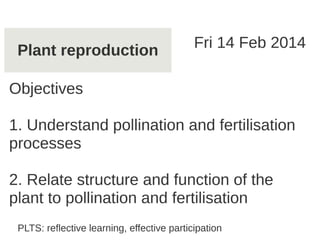 Key Stage 3 Plant reproduction | PPT