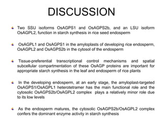 AGPase in starch biosynthesis | PPTX | Chemistry | Science