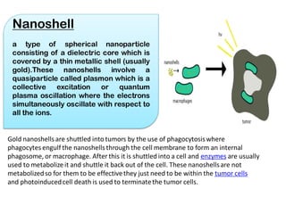 nano bio | PDF