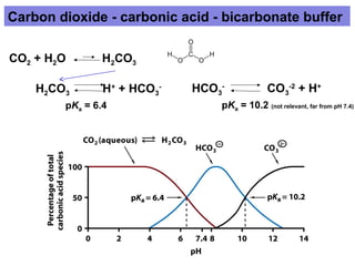 Acid-Base Equilibria, pH and Buffers | PPT