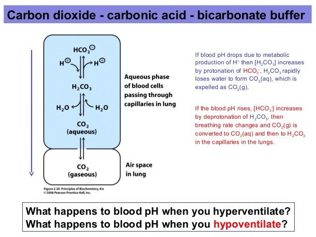 Acid-Base Equilibria, pH and Buffers