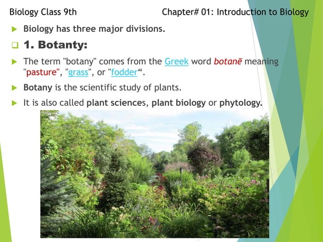Biology and its major divisions | PPTX
