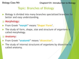 Branches of biology | PPTX