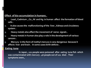 bioaccomulation of heavy metals.pptx | Chemistry | Science