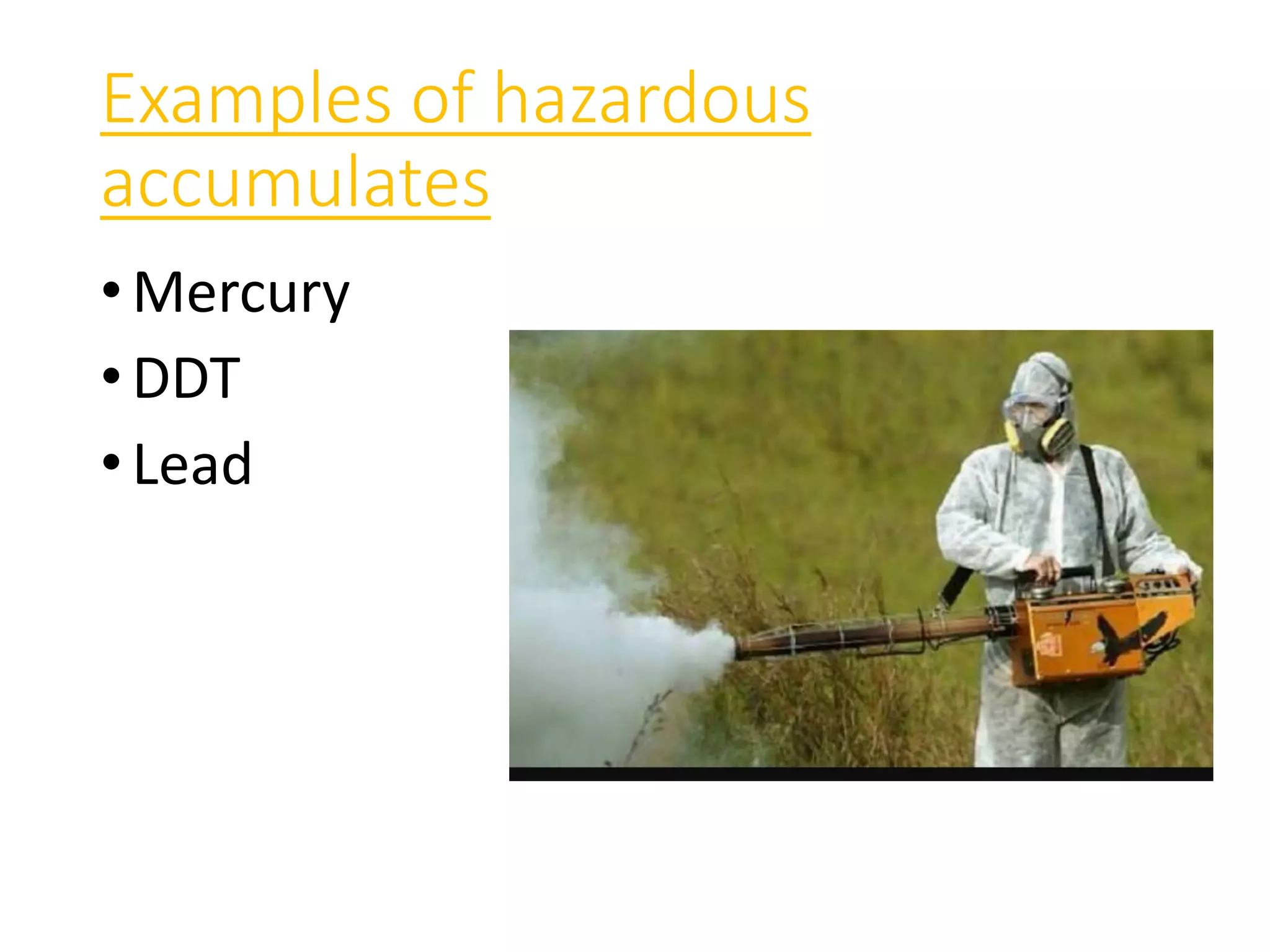 Bioaccumilation | PPTX