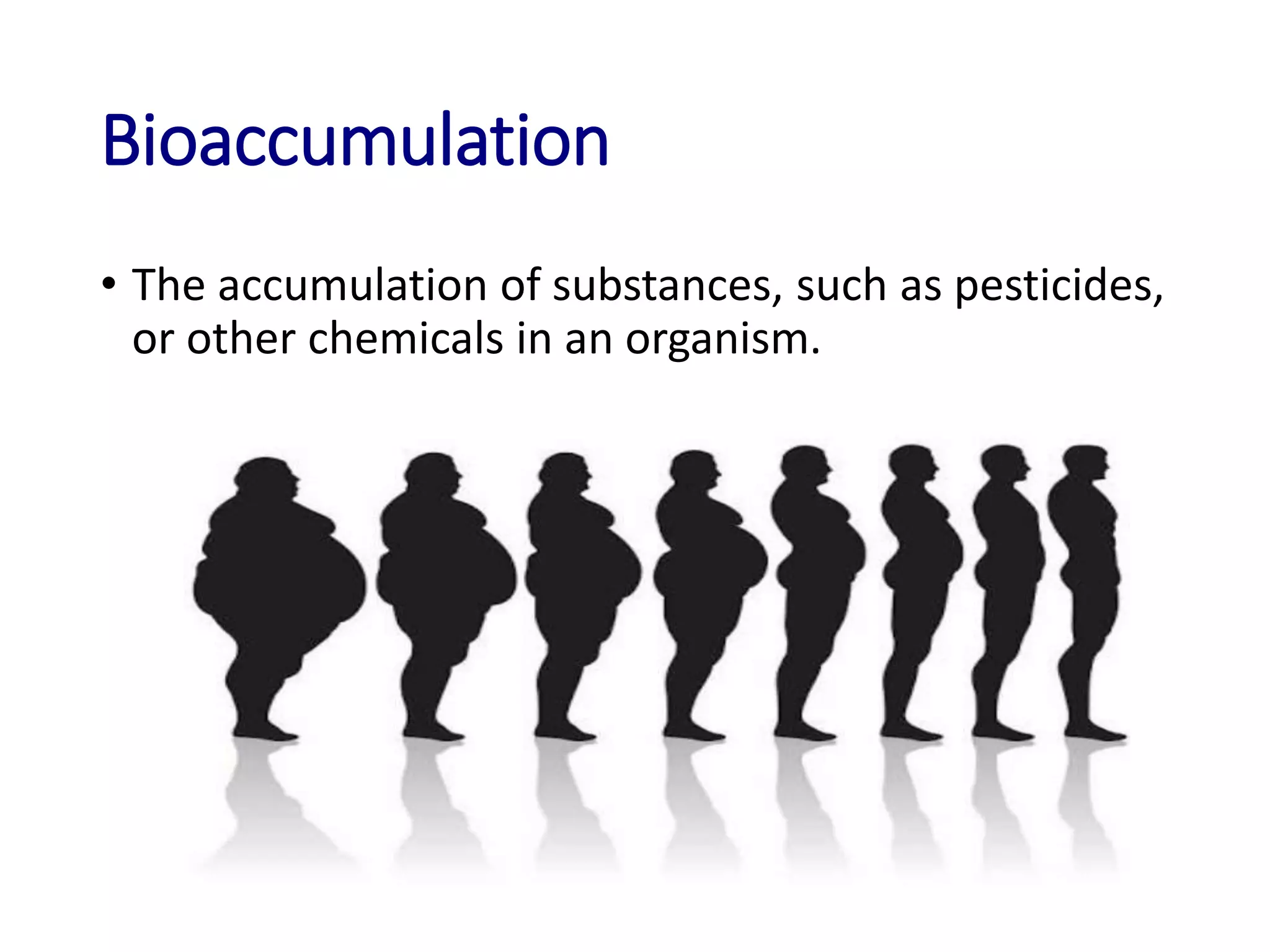 Bioaccumilation | PPTX