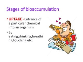 Bioaccumilation | PPTX