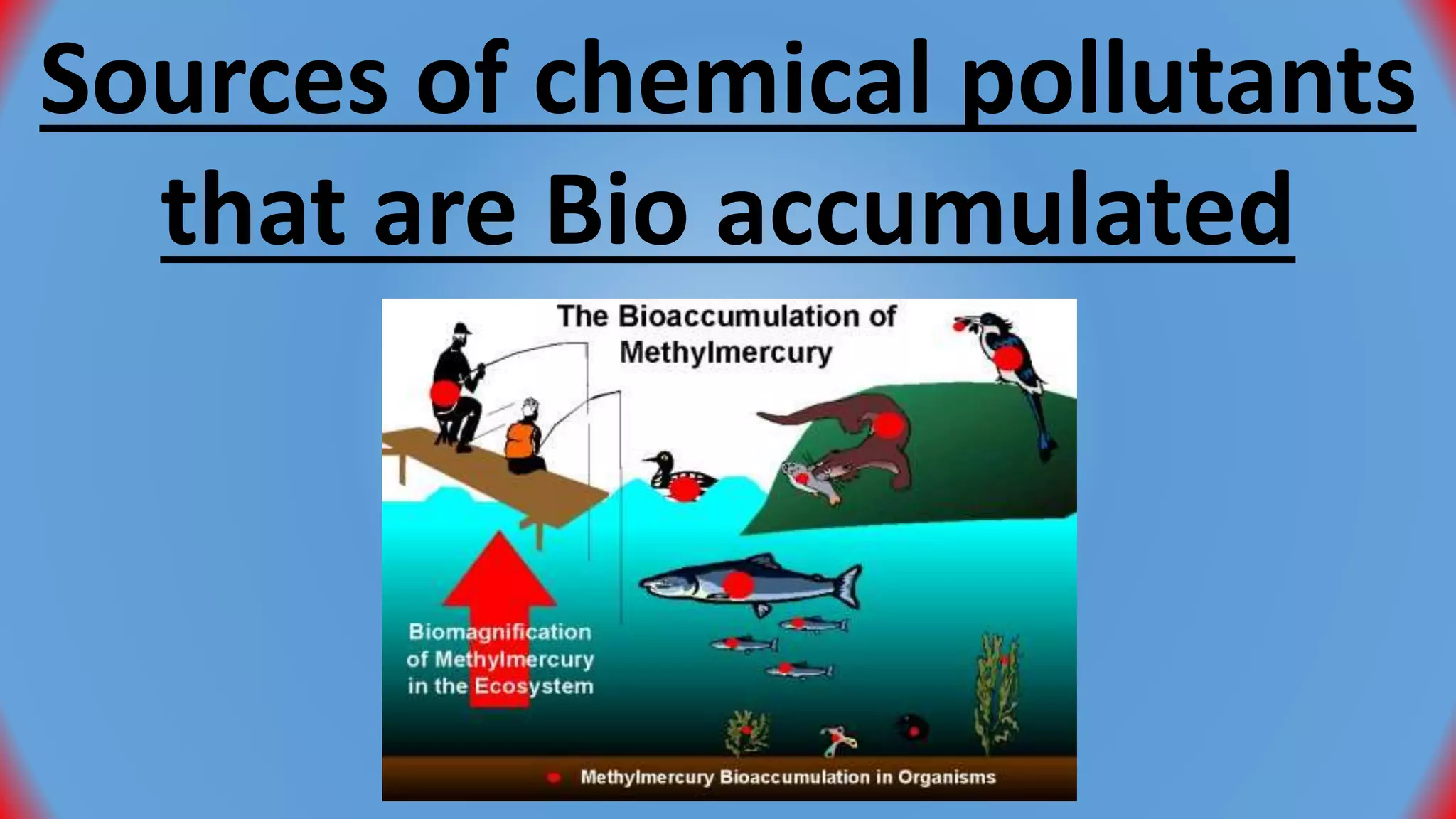 Bioaccumulation | PPTX