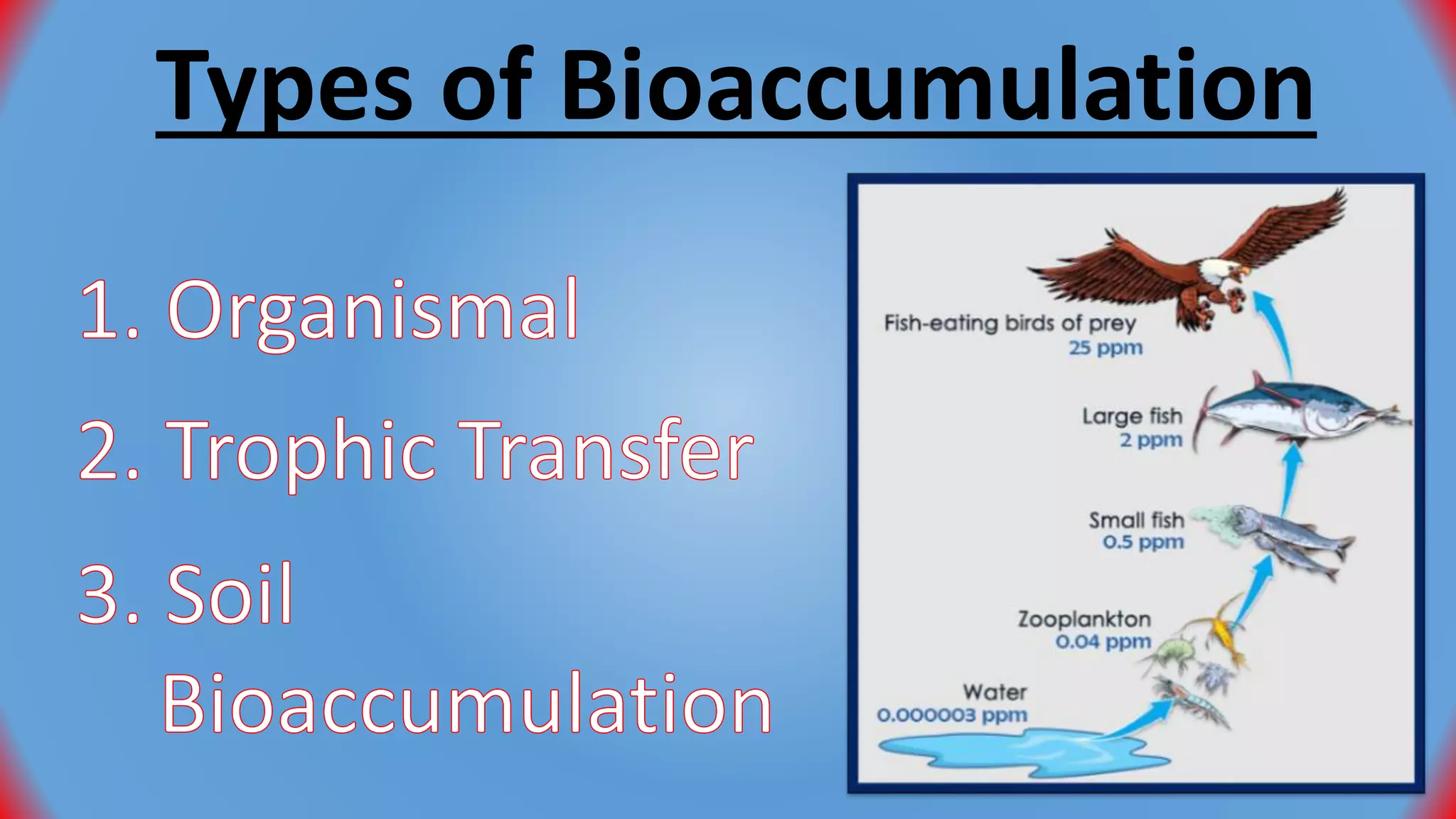 Bioaccumulation | PPTX