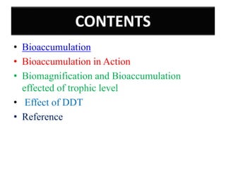 Bioaccumulation | PPTX